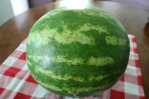 How To Select a Ripe Watermelon